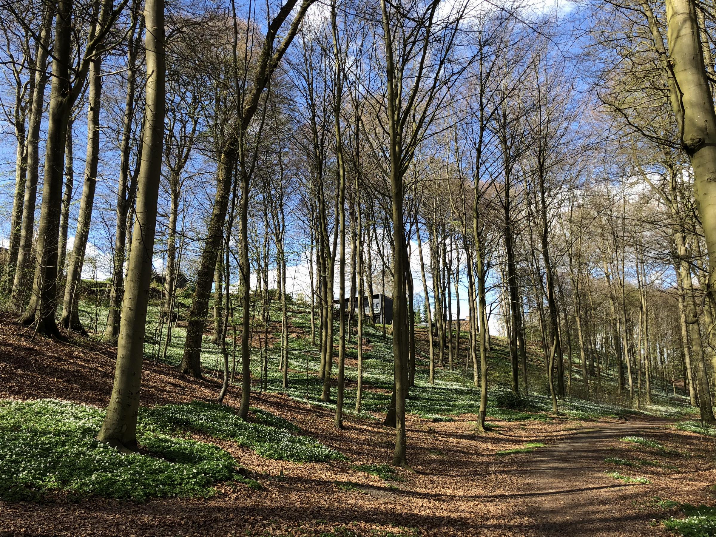 Flot dal mellem rigmandvillaerne, Vejle